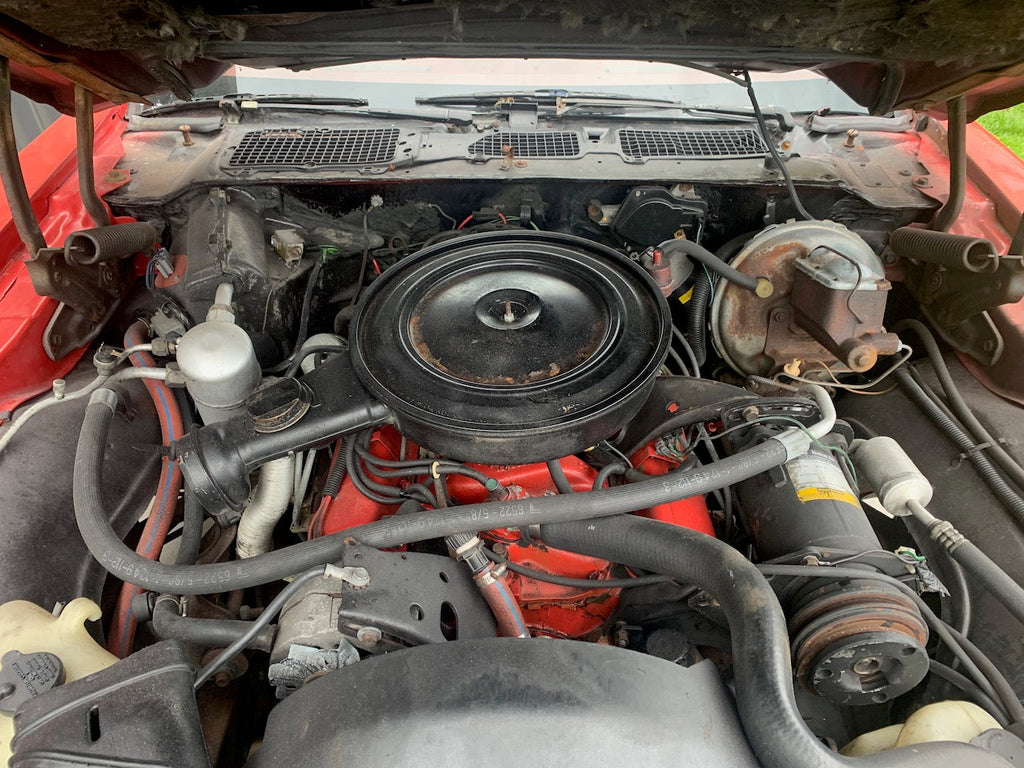 1978 Pontiac Firebird 'Red Bird' SOLD – Westcoast Classic Imports